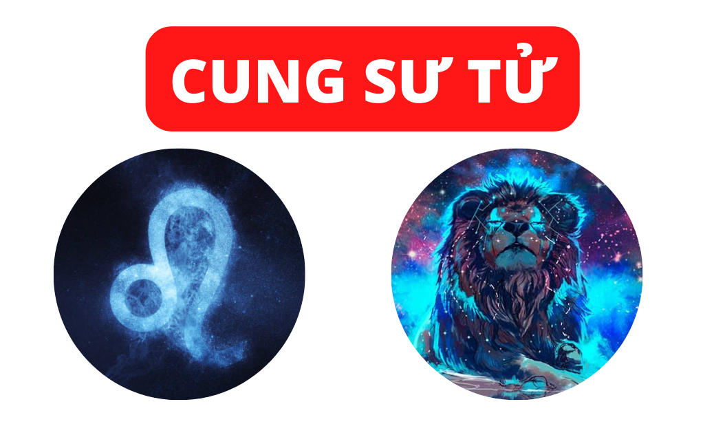 Khám Phá Bí Mật Cung Sư Tử Nam Nữ